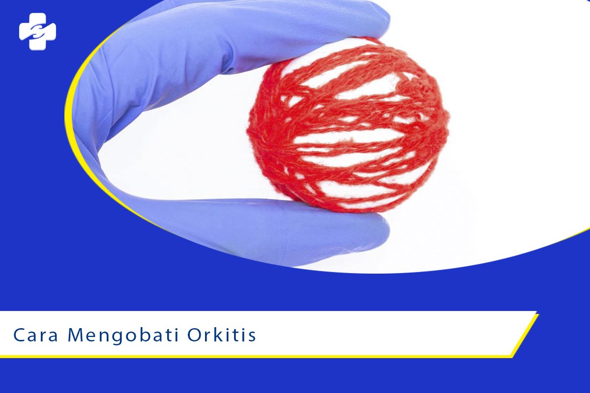 Bagaimana Cara Mengobati Orchitis