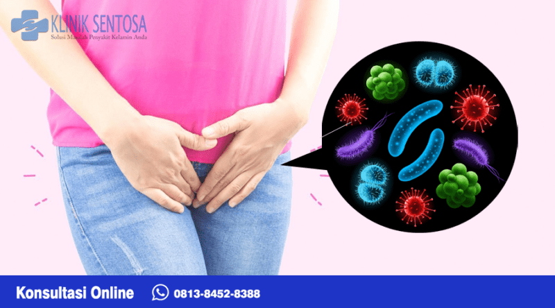 Cara Mencegah Gatal di Kemaluan Wanita | Klinik Utama Apollo