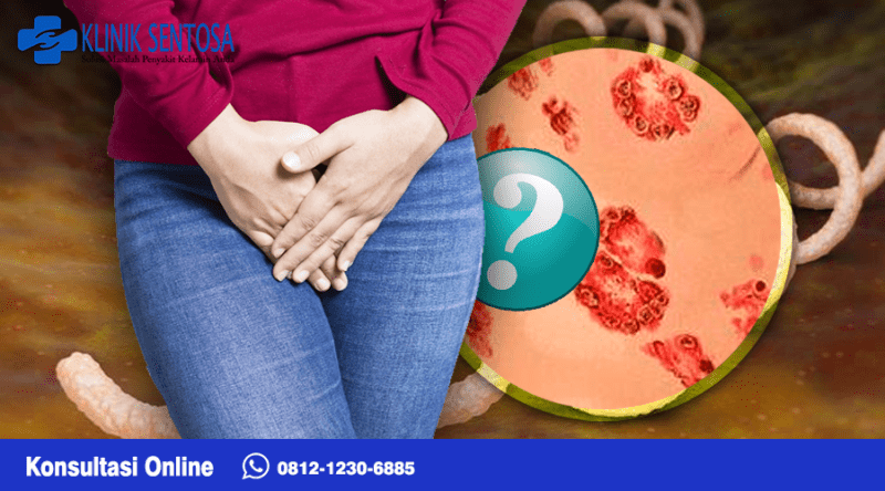 Pengobatan agar Sifilis bisa Sembuh | Klinik Utama Apollo