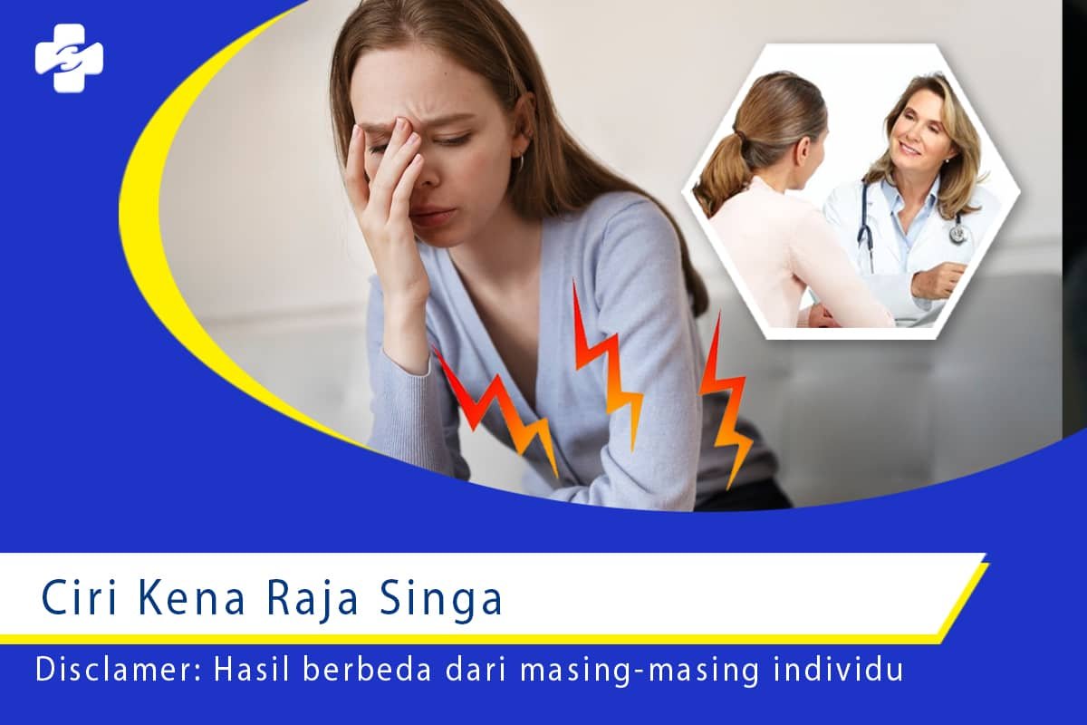 Lihat, Ciri Kena Raja Singa yang Jarang Ditemui | Klinik Utama Sentosa