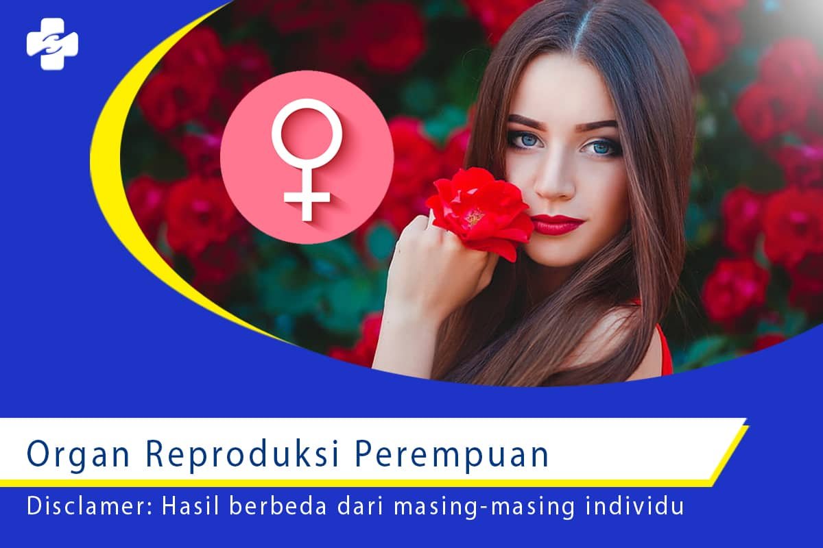 Organ Reproduksi Perempuan: Anatomi dan Fungsi | Klinik Utama Apollo